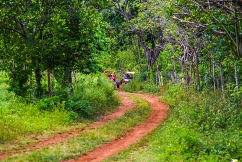 Flintstones Buggy, Cave and Adventure in Bavaro - FAQ
