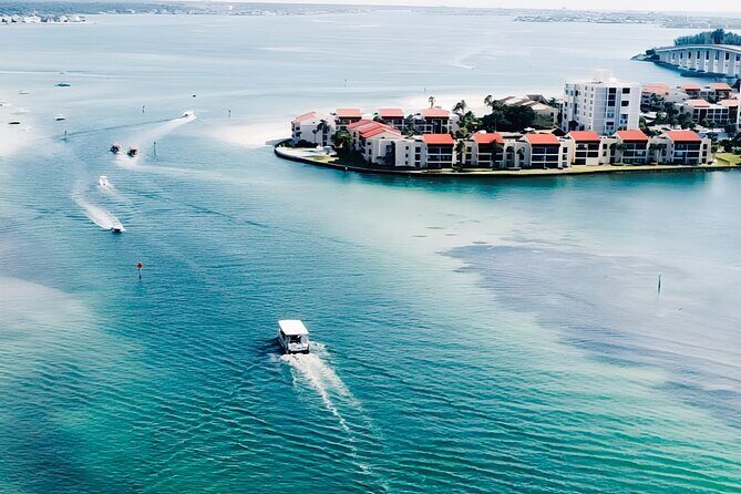 !! Flippers Fun Boat !! Dolphin Adventure Clearwater Beach! - Summary: The Right Trip for Curious, Casual Travelers