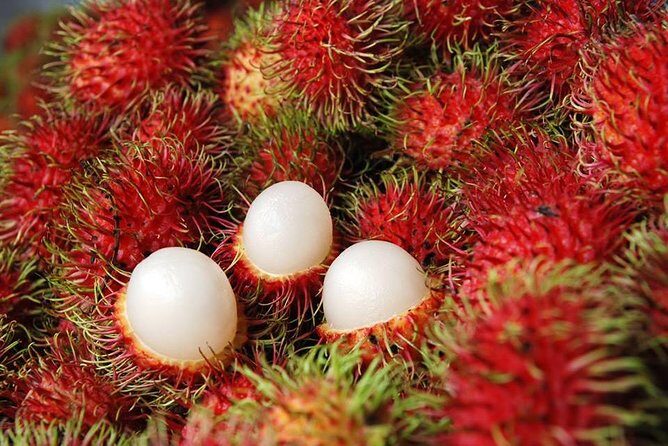 Floating Market with Wat Bang Kung Temple and the Railway Market - What Travelers Say