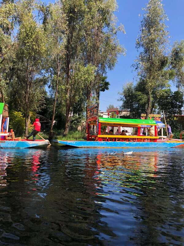 "Floating Party in Xochimilco: Canals, Tequila, and Tradition" - Exploring Xochimilco: What to Expect