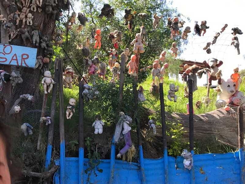 "Floating Party in Xochimilco: Canals, Tequila, and Tradition" - Practical Tips for Your Tour