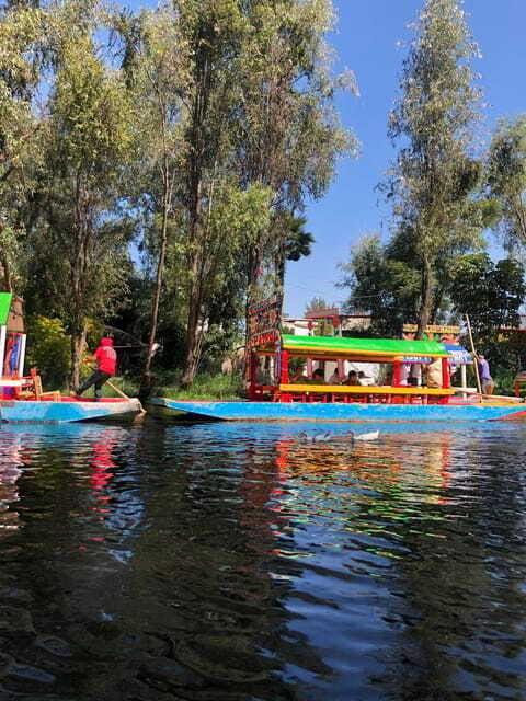 "Floating Party in Xochimilco: Canals, Tequila, and Tradition" - Who Should Consider This Tour?