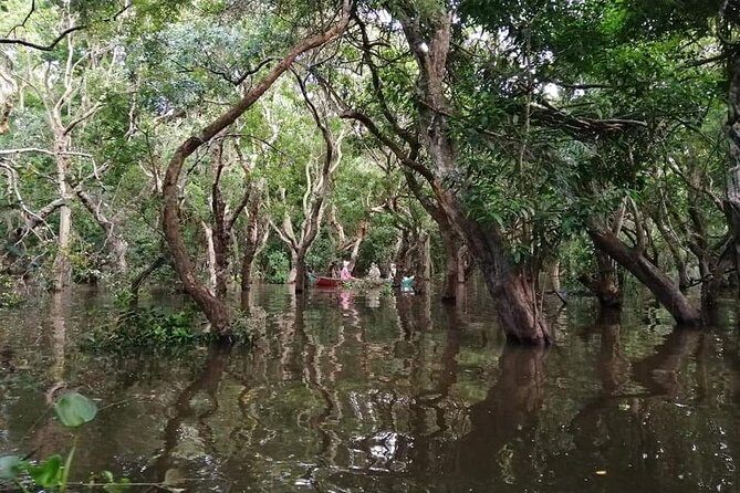 Floating Village -Kompong Pluk Morning & Sunset - The Sum Up: A Scenic, Authentic Snapshot of Cambodia