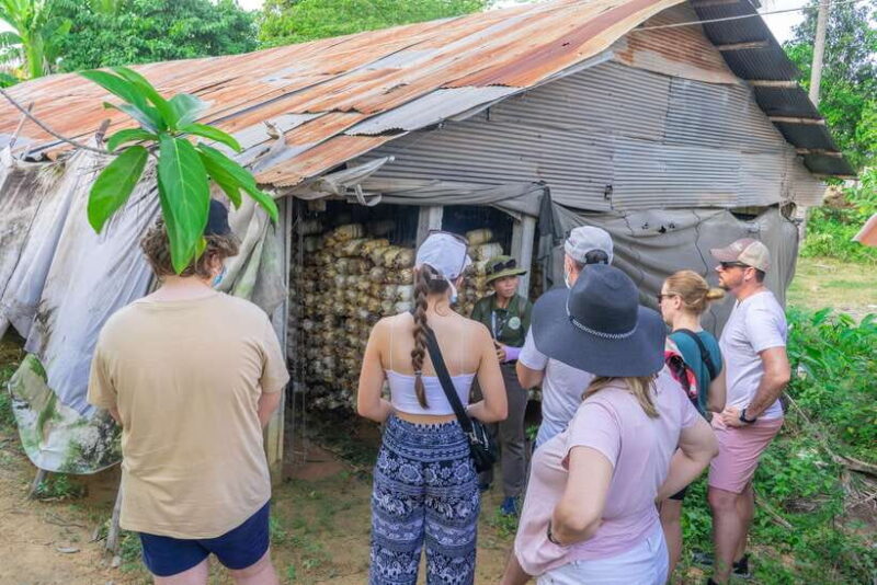 Floating Village Sunset Boat & Jeep Tour inclusive Drinks - Introduction to the Tour