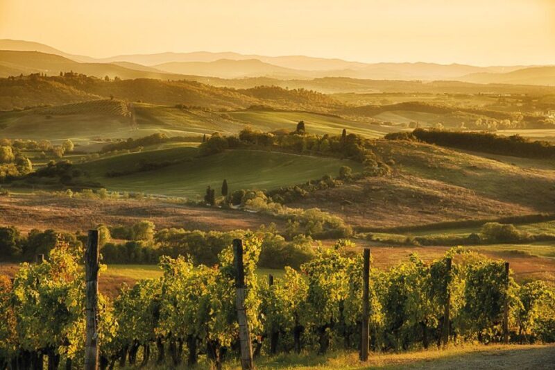 Florence/Badesse: Tuscany Group Vespa Tour with Wine Tasting - Final Words