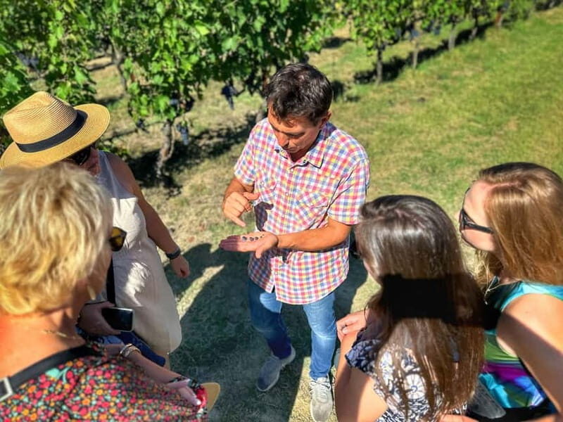 Florence: Brunello Wine Tour with Lunch at the Winery - An Authentic Taste of Montalcino’s Finest Wines