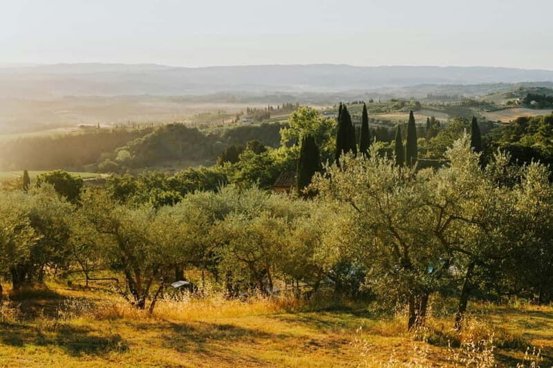 Florence by E-Bike: Hidden Hills & Local Thrills - The Value Proposition
