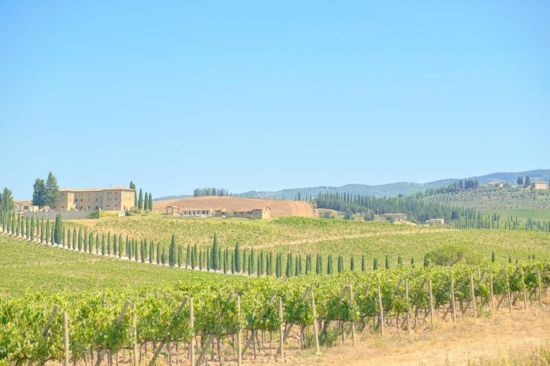 Florence: Chianti E-Bike Tour with Lunch & Two Wine Tastings - Key Points