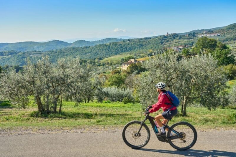 Florence: Chianti E-Bike Tour with Lunch & Two Wine Tastings - Exploring the Itinerary: What to Expect