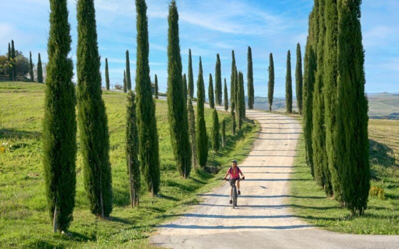 Florence: Chianti E-Bike Tour with Lunch & Two Wine Tastings - Practical Tips for Participants