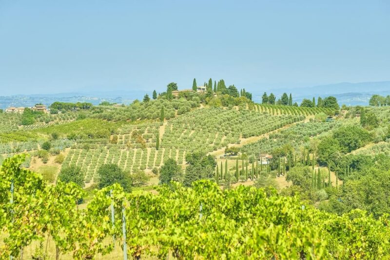 Florence: Chianti E-Bike Tour with Lunch & Two Wine Tastings - Final Thoughts