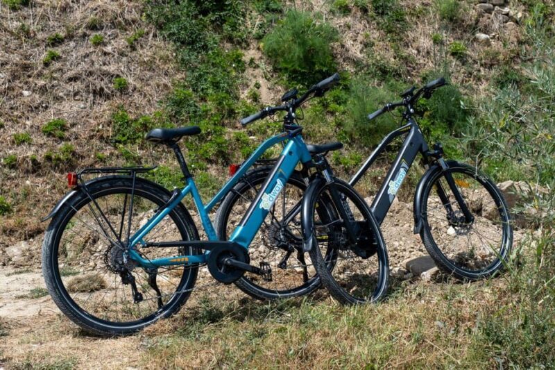 Florence: Chianti E-Bike Tour with Wine Tasting and Lunch - The Practical Side: What You Need to Know