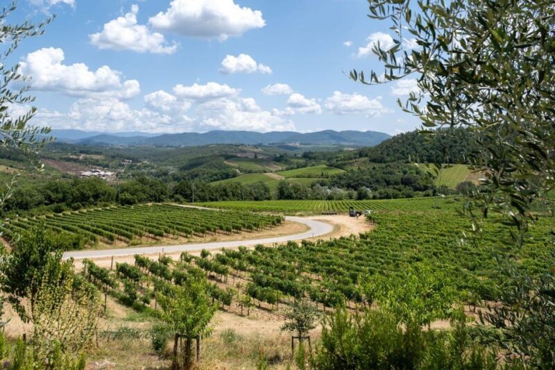 Florence: Chianti E-Bike Tour with Wine Tasting and Lunch - Authentic Experiences People Love