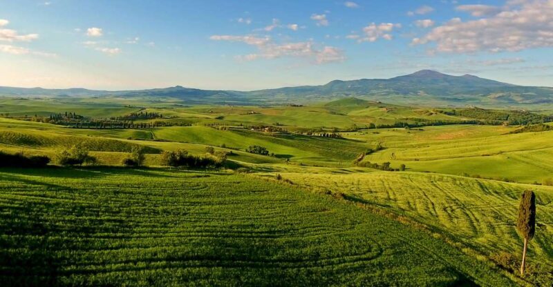 Florence: Chianti, Montalcino & Montepulciano Private Tour - An In-Depth Look at the Itinerary