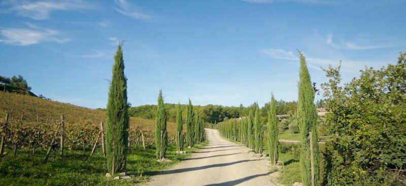 Florence: Chianti, Montalcino & Montepulciano Private Tour - The Practical Side