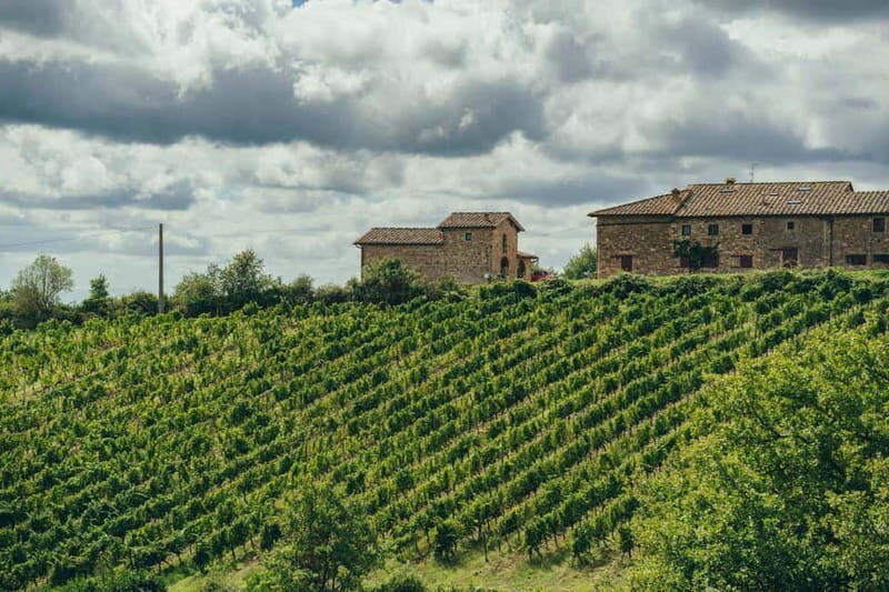 Florence: Chianti Secrets Wineries Tour With Lunch - What Is This Tour All About?