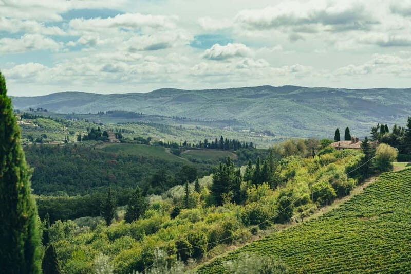 Florence: Chianti Secrets Wineries Tour With Lunch - Transportation, Duration, and Practical Details