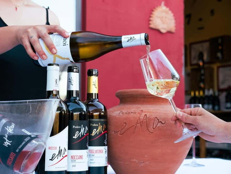 Florence: Chianti Tuscany Winery Tasting & Lunch - Introduction to the Tuscany Winery Experience