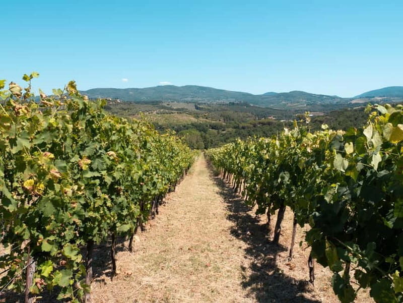 Florence: Chianti Tuscany Winery Tasting & Lunch - The Value: Is It Worth It?