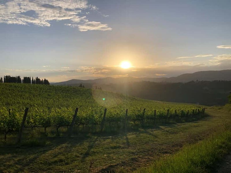 Florence: Chianti Tuscany Winery Tasting & Lunch - FAQ