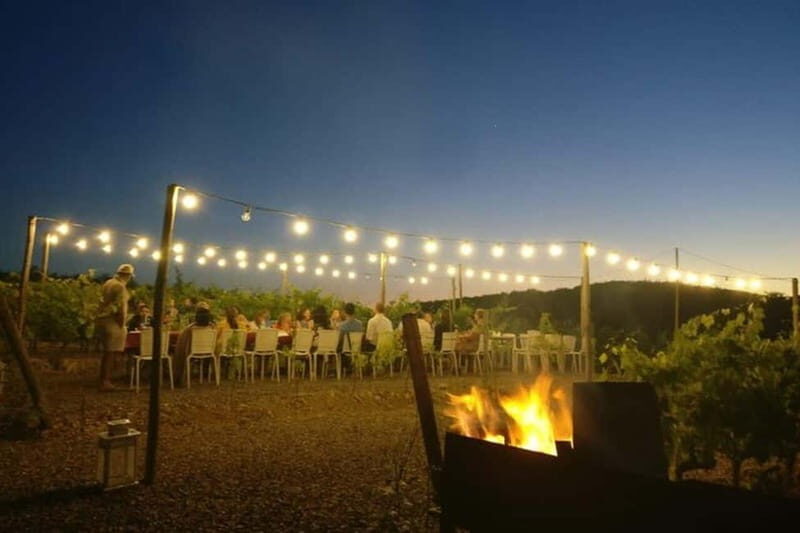 Florence: Chianti Vineyards Tour with Wine Tasting & Dinner - Practicalities and Logistics