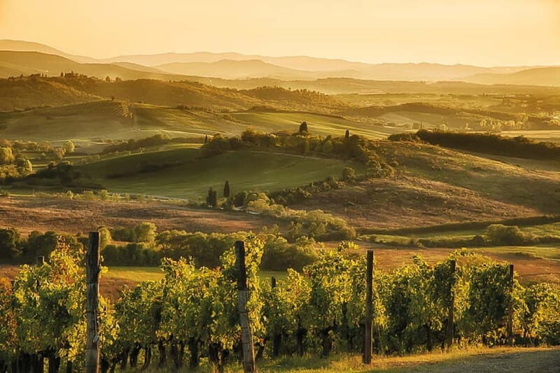 Florence: Chianti Vineyards Tour with Wine Tasting & Dinner - Weather and Accessibility