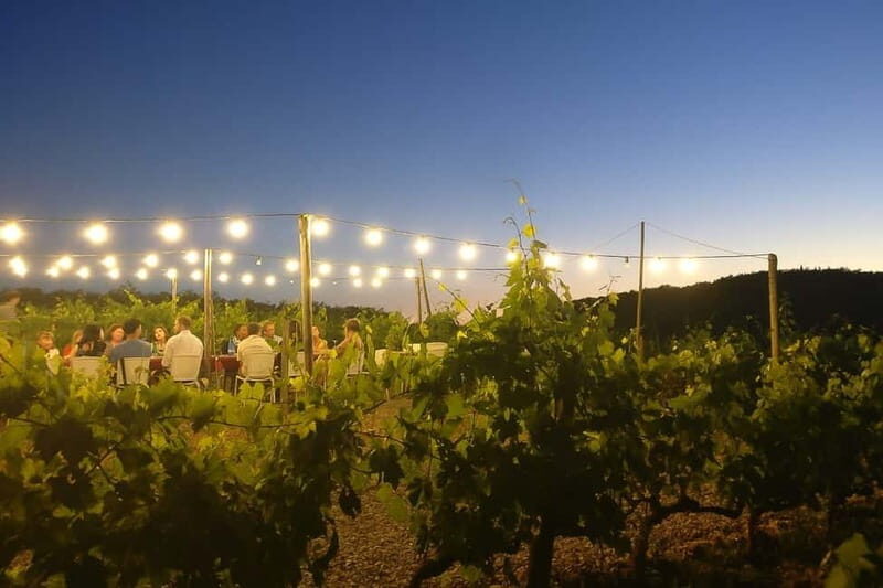 Florence: Chianti Vineyards Tour with Wine Tasting & Dinner - The Sum Up