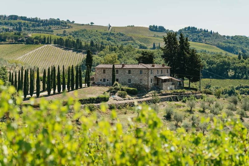 Florence: Chianti Wineries Tour with Wine Tasting - Authenticity and Local Flavor