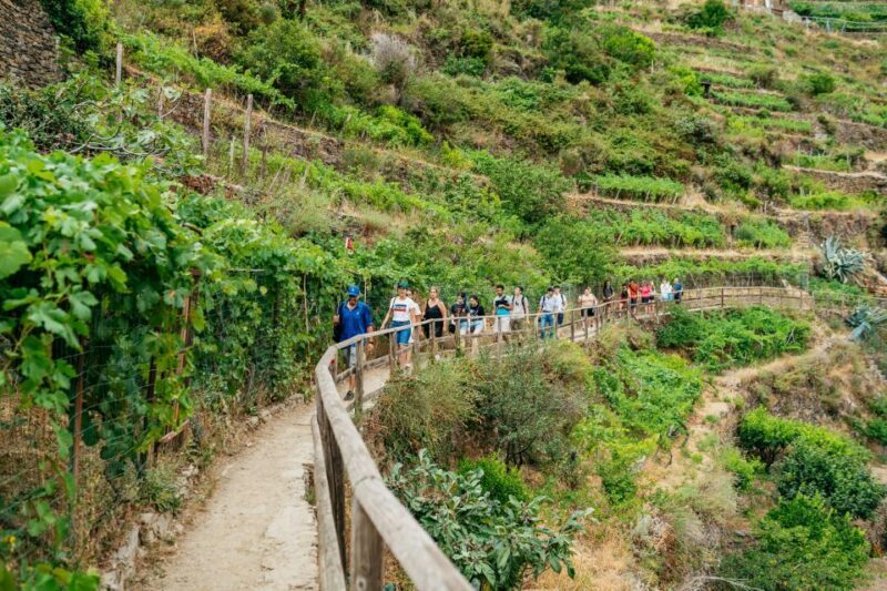 Florence: Cinque Terre Day Trip with Optional Hike - An In-Depth Look at the Cinque Terre Day Trip