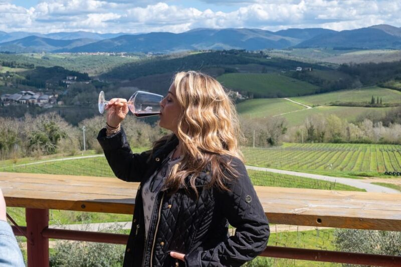 Florence: day trip to Montalcino with 2 Wineries and Lunch - A Closer Look at the Tour Itinerary