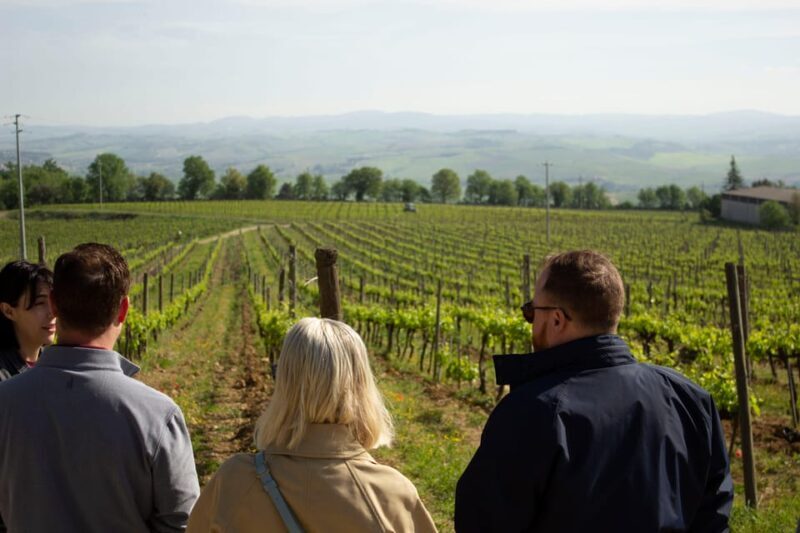 Florence: day trip to Montalcino with 2 Wineries and Lunch - Final Thoughts