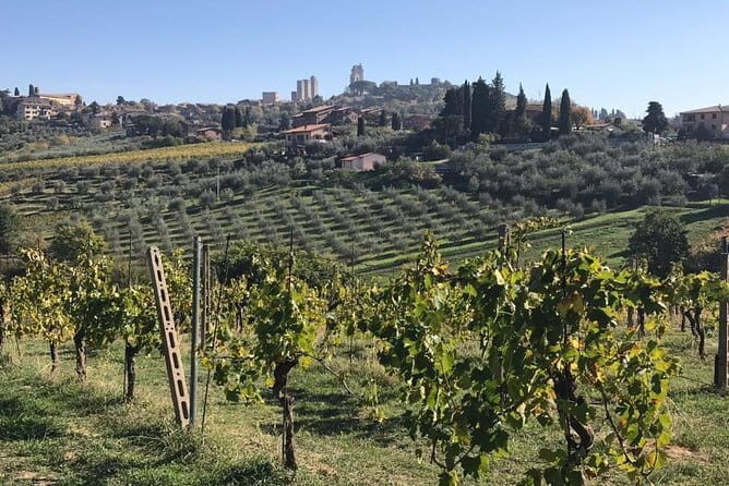 Florence Day Trip to Volterra and San Gimignano - The Practicalities: Costs, Comfort, and Convenience