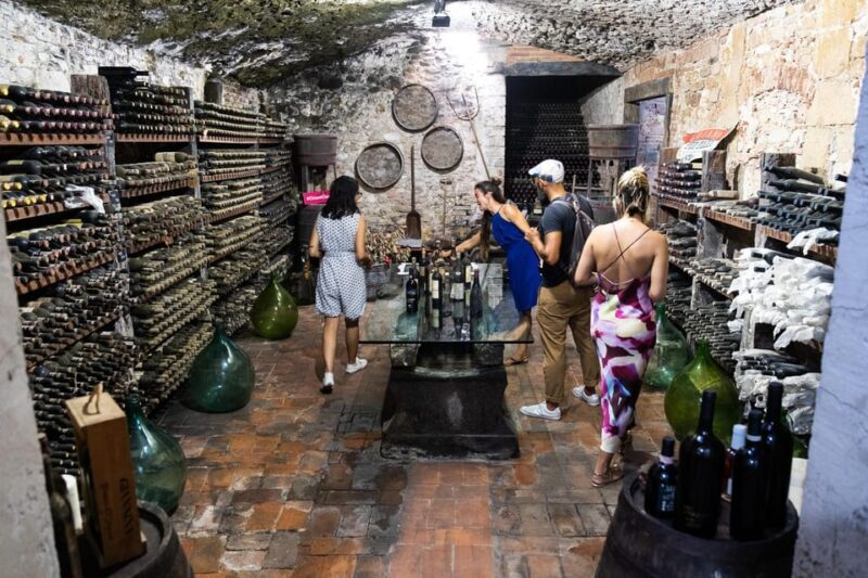 Florence: Exclusive Chianti Wine Tour at 3 Wineries & Lunch - Final Thoughts: Is This Experience Right for You?