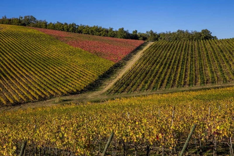 Florence: Explore Chianti by Vintage Car with Wine Tasting - Final Thoughts