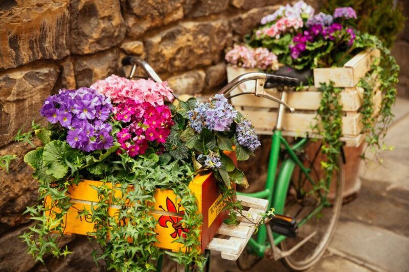Florence: Family-Friendly Private Tour - Reviews: What Families Are Saying