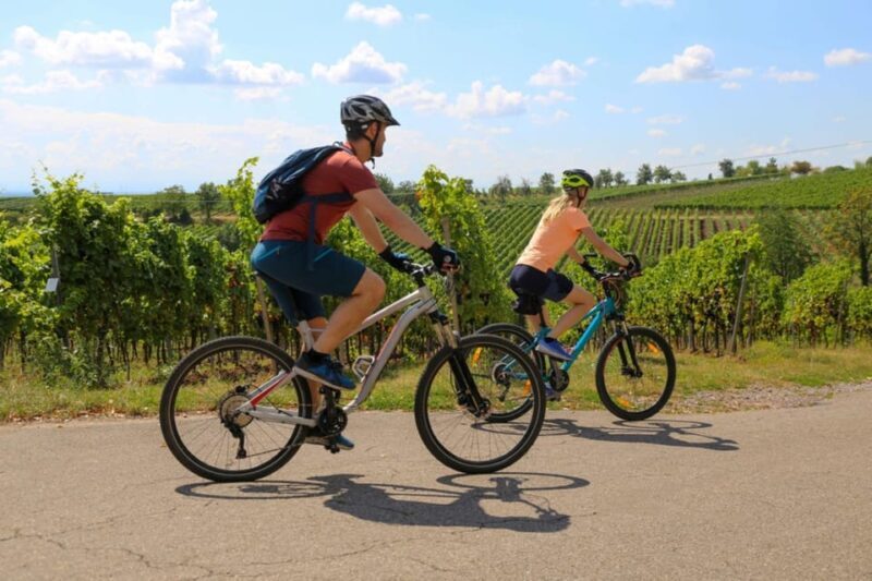 Florence: Fiesole E-Bike Tour with Olive Oil Tasting - Exploring Local Culture and Food: Olive Oil Tasting