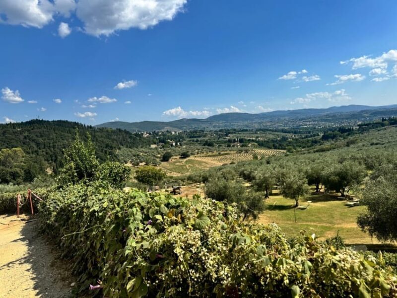 Florence: Fiesole E-Bike Tour with Olive Oil Tasting - The Return Journey & Overall Experience
