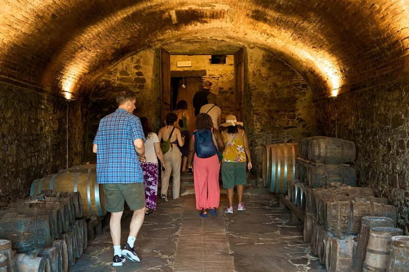 Florence: Great Chianti Wine and Olive Oil Trail with Lunch - Final Thoughts