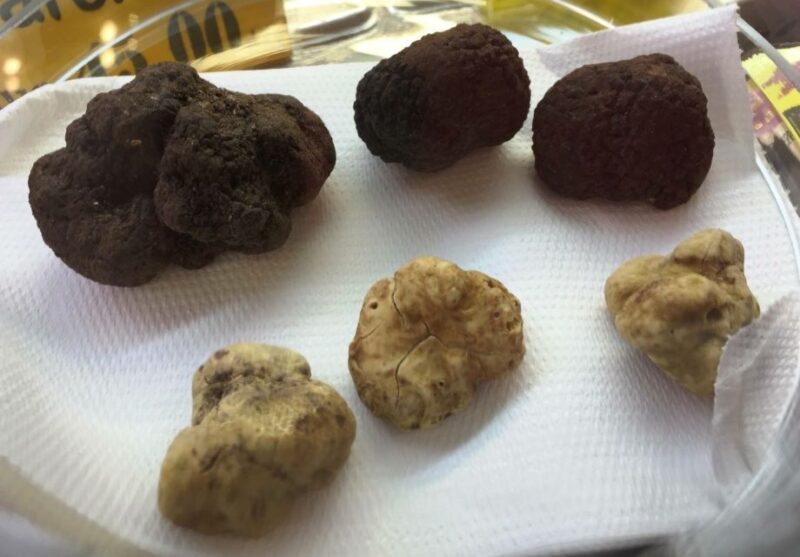 Florence: Guided Food Tour with Fiorentina Steak and Wine - Flexible, Generous, and Value-packed