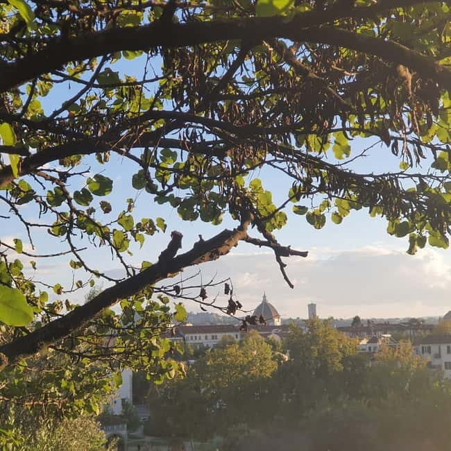 Florence: Hidden Parks Guided Walking Tour with Picnic - Who Will Love This Tour?