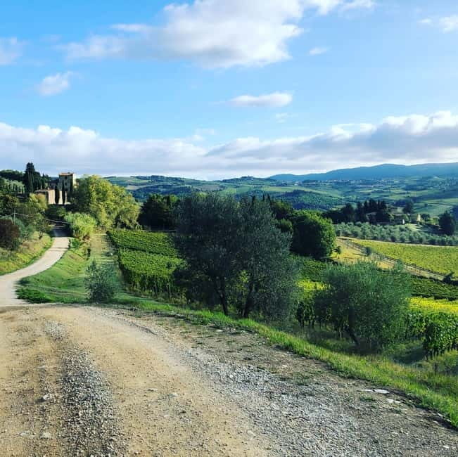 Florence: Hiking Tuscany & Chianti wine 3 wineries and lunch - An Honest Look at a Truly Authentic Tuscan Day