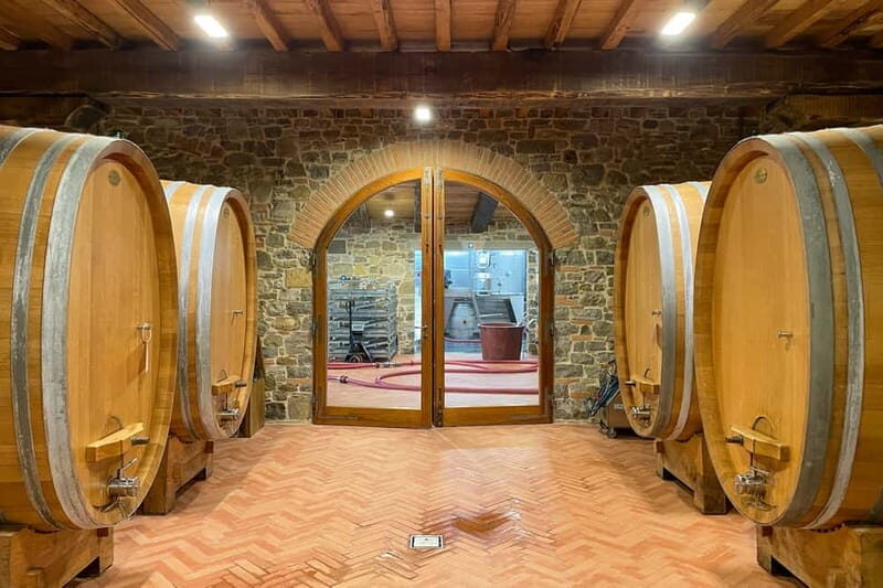 Florence: Hiking Tuscany & Chianti wine 3 wineries and lunch - Key Points