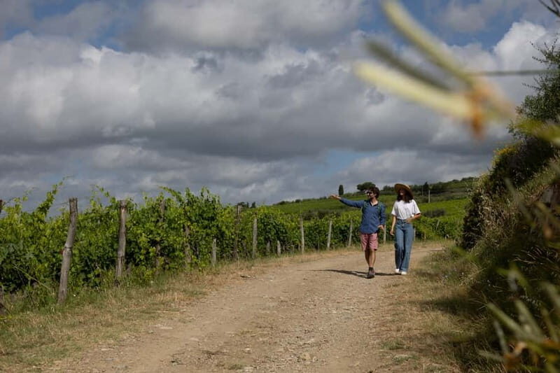 Florence: Hiking Tuscany & Chianti wine 3 wineries and lunch - The Last Winery: Modern Art Meets Tradition