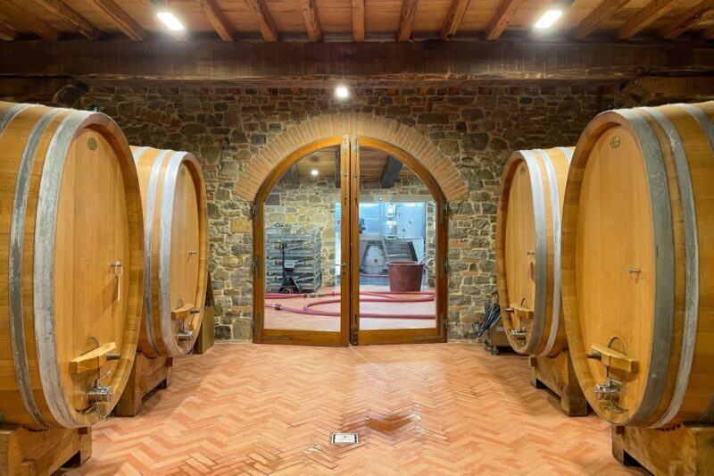 Florence: Hiking Tuscany & Chianti wine 3 wineries and lunch - The Cost and What It’s Worth