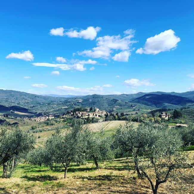 Florence: Hiking Tuscany & Chianti wine 3 wineries and lunch - Why This Tour Is a Found Treasure for Travelers