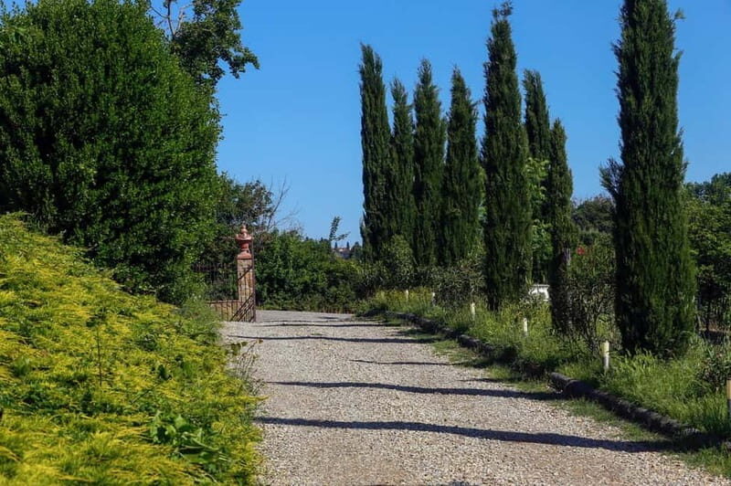Florence: Horse Ride & Chianti Farm Meal - Key Points