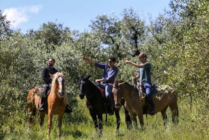 Florence: Horse Ride & Chianti Farm Meal - Exploring the Tour: What You Can Expect