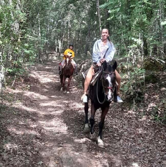 Florence - Horseback riding day trip in the Chianti hills - A detailed look at the experience
