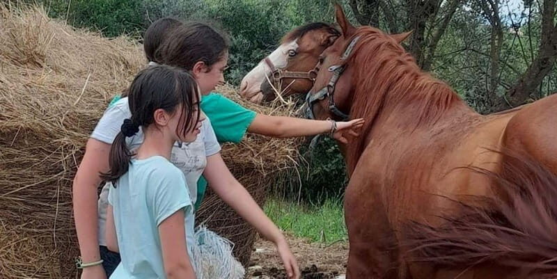 Florence - Horseback riding day trip in the Chianti hills - The conclusion: Is it worth it?