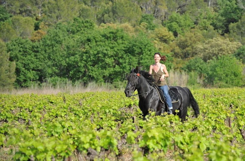 Florence: Horseback Riding, Wine Tasting & Cooking Class - What to Expect from this Tuscany Day Trip